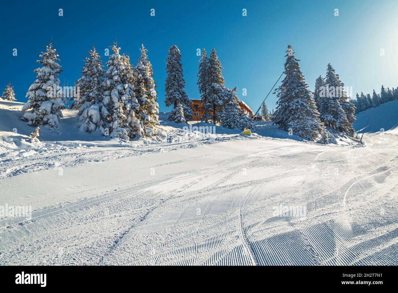 Amazing snowy landscape with cute wooden chalet in the snowy pine ...