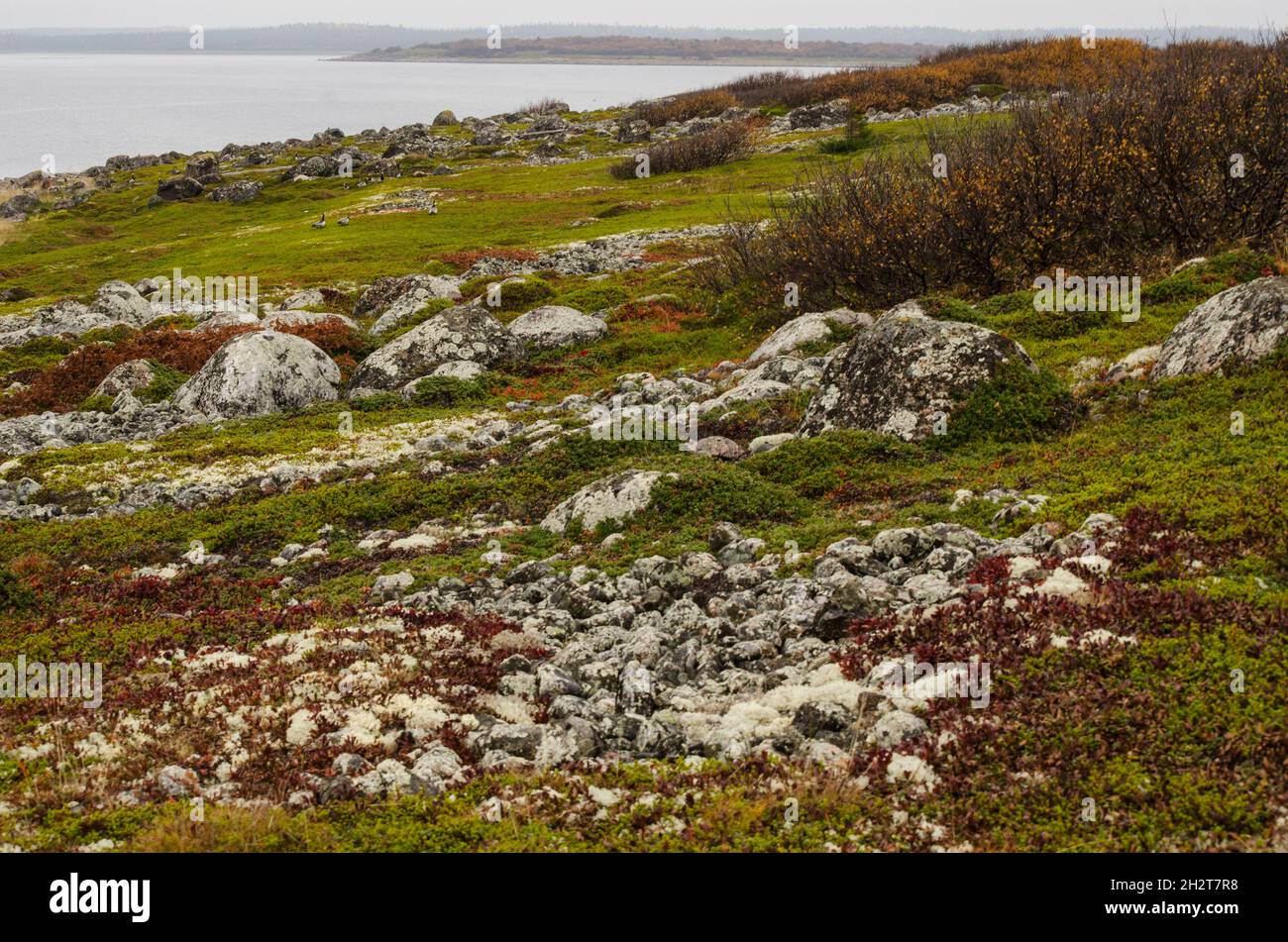 Stone piles among the tundra. Ancient graves. Solovki Stock Photo - Alamy