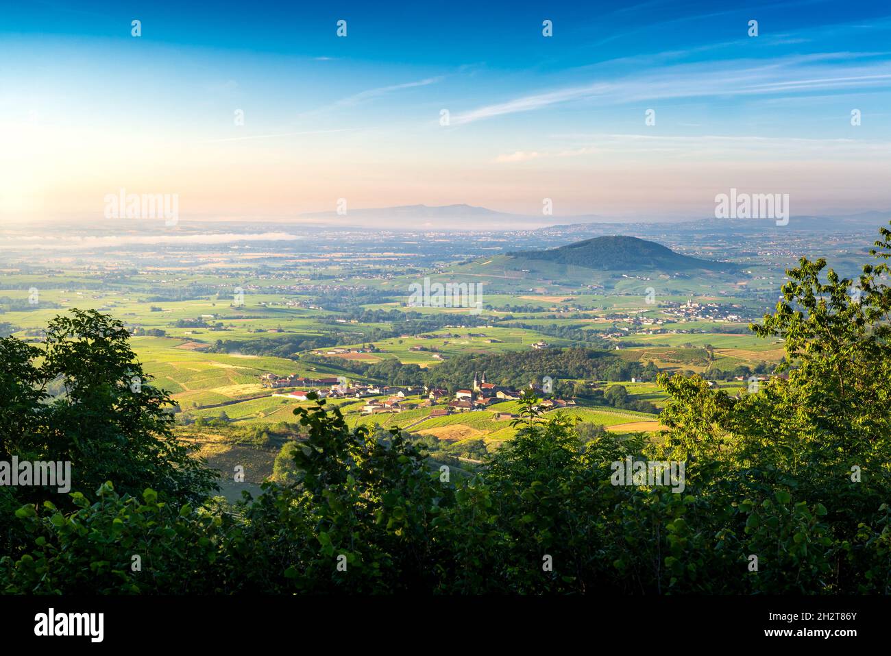 Le Mont Brouilly et le Beaujolais, France Stock Photo - Alamy