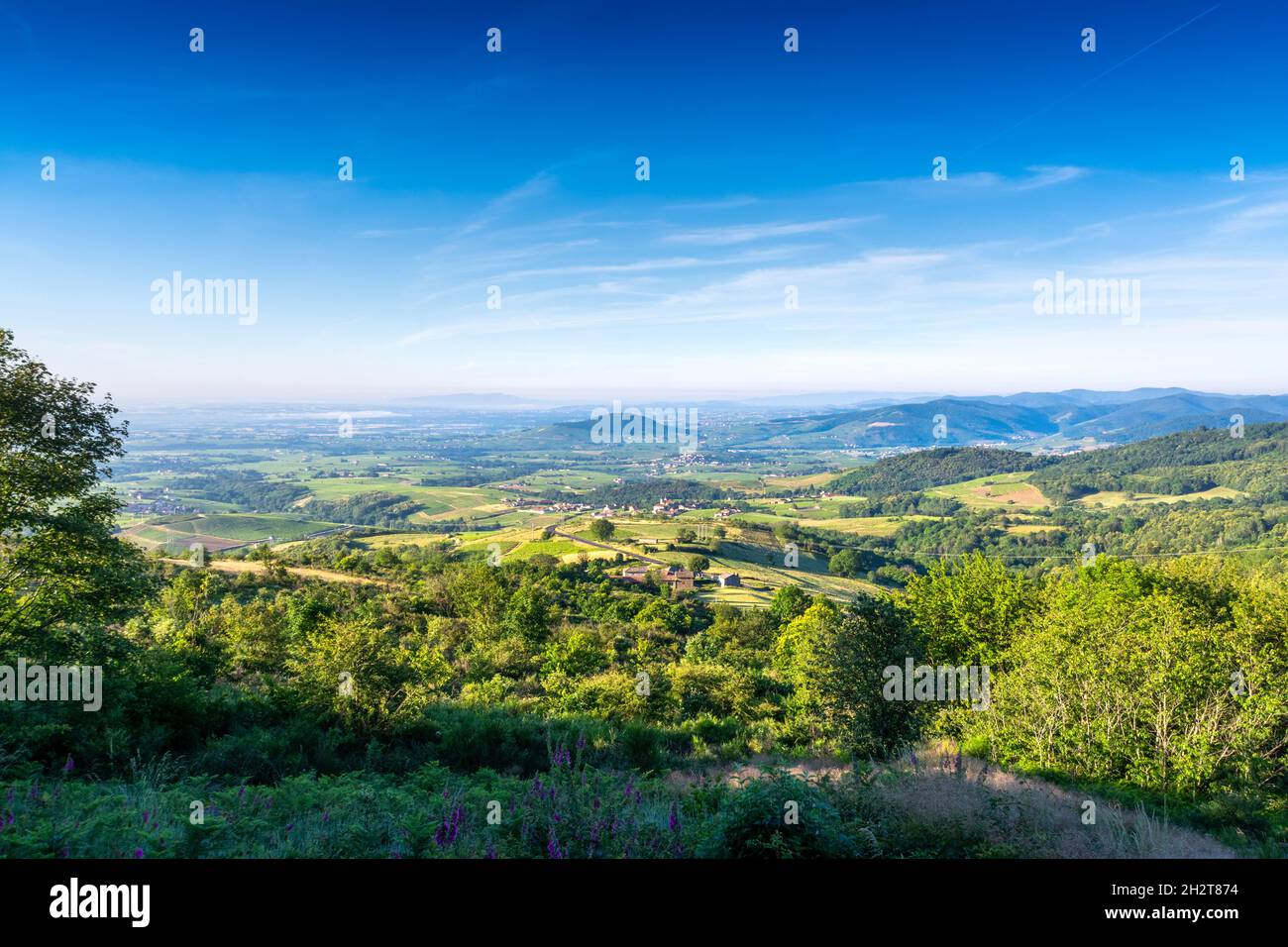 Le Mont Brouilly et le Beaujolais, vue depuis la terrasse de Chiroubles ...