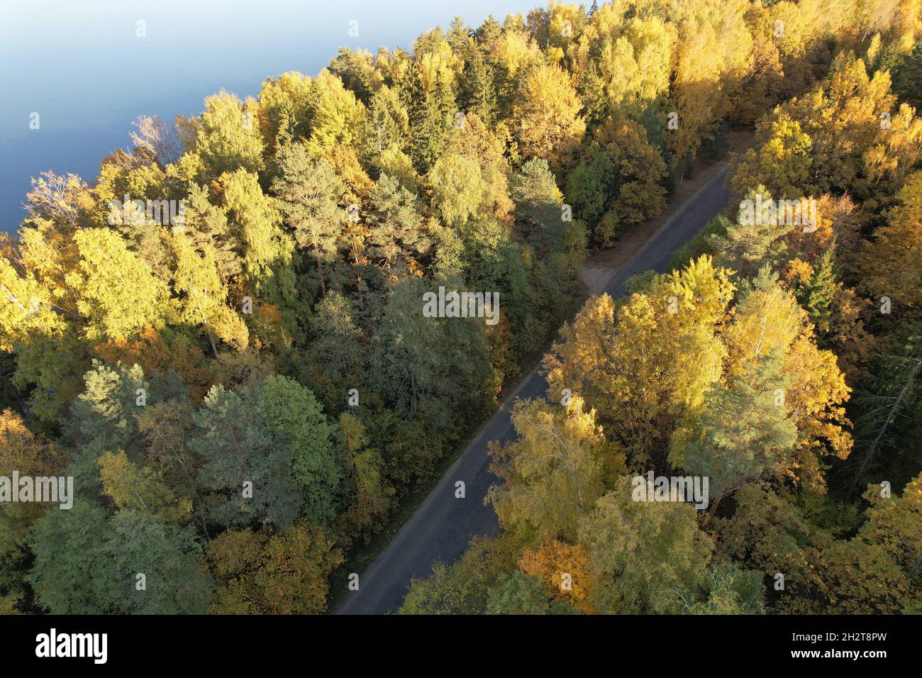 Autumn landscape background. Road in yellow color tree leafs Stock ...
