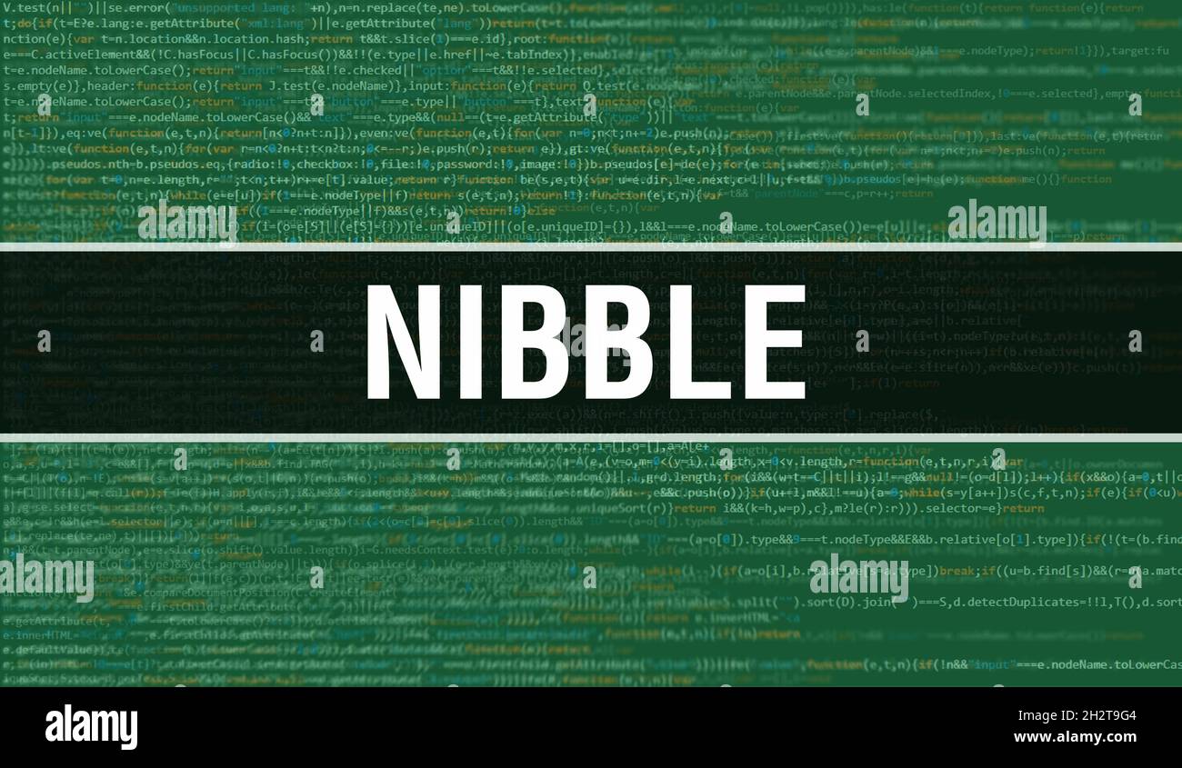 Nibble concept illustration using code for developing programs and app. Nibble website code with ...