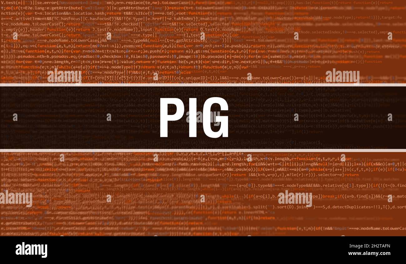 Pig concept with Random Parts of Program Code. Pig with Programming ...