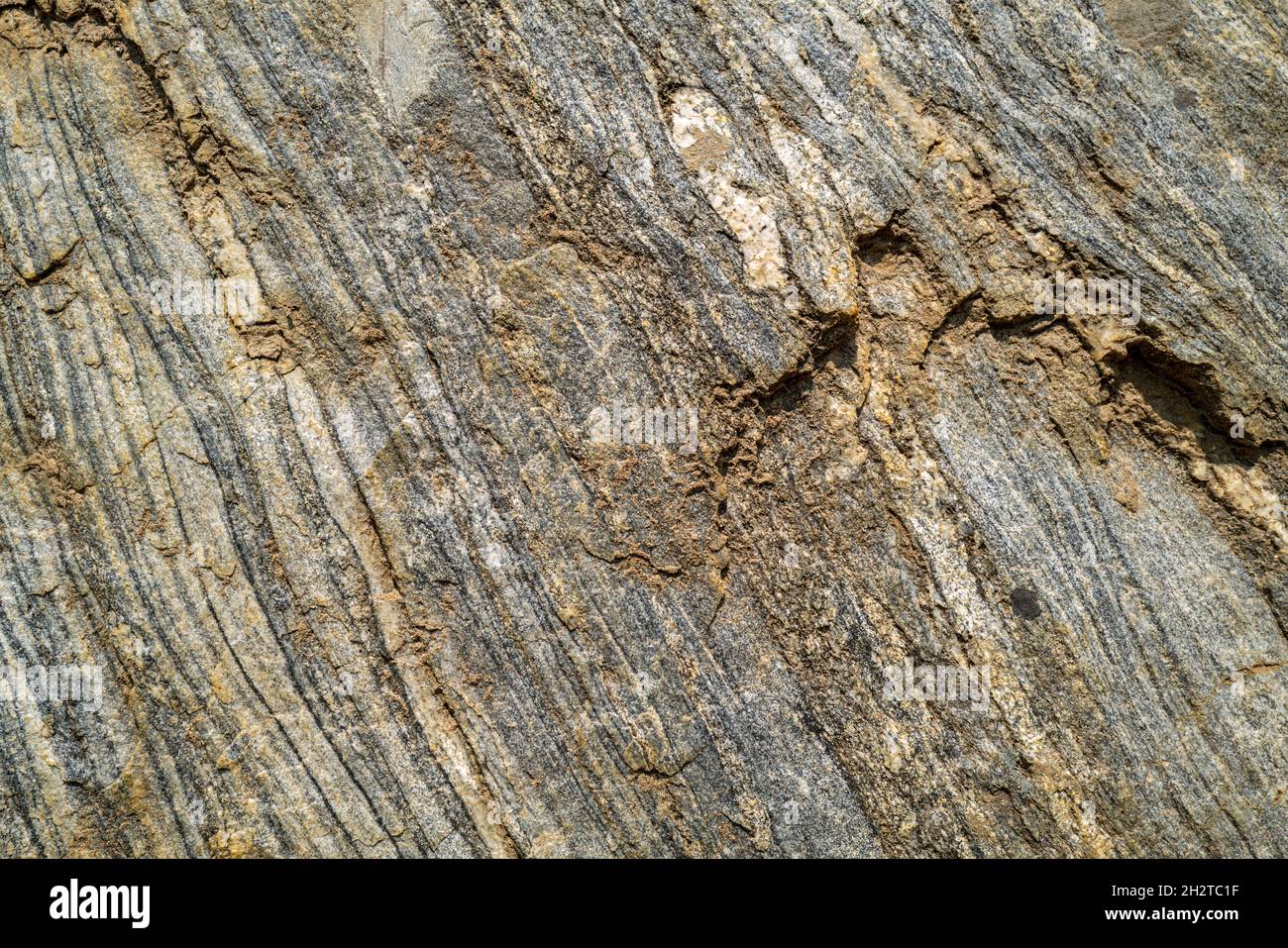 A close up view of a striated rock surface by the side of a road in ...