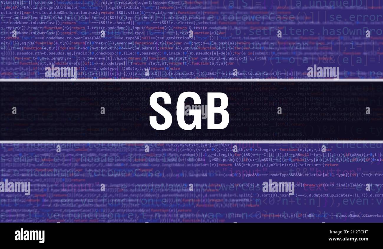 Sgb With Digital Java Code Text Sgb And Computer Software Coding Vector Concept Programming