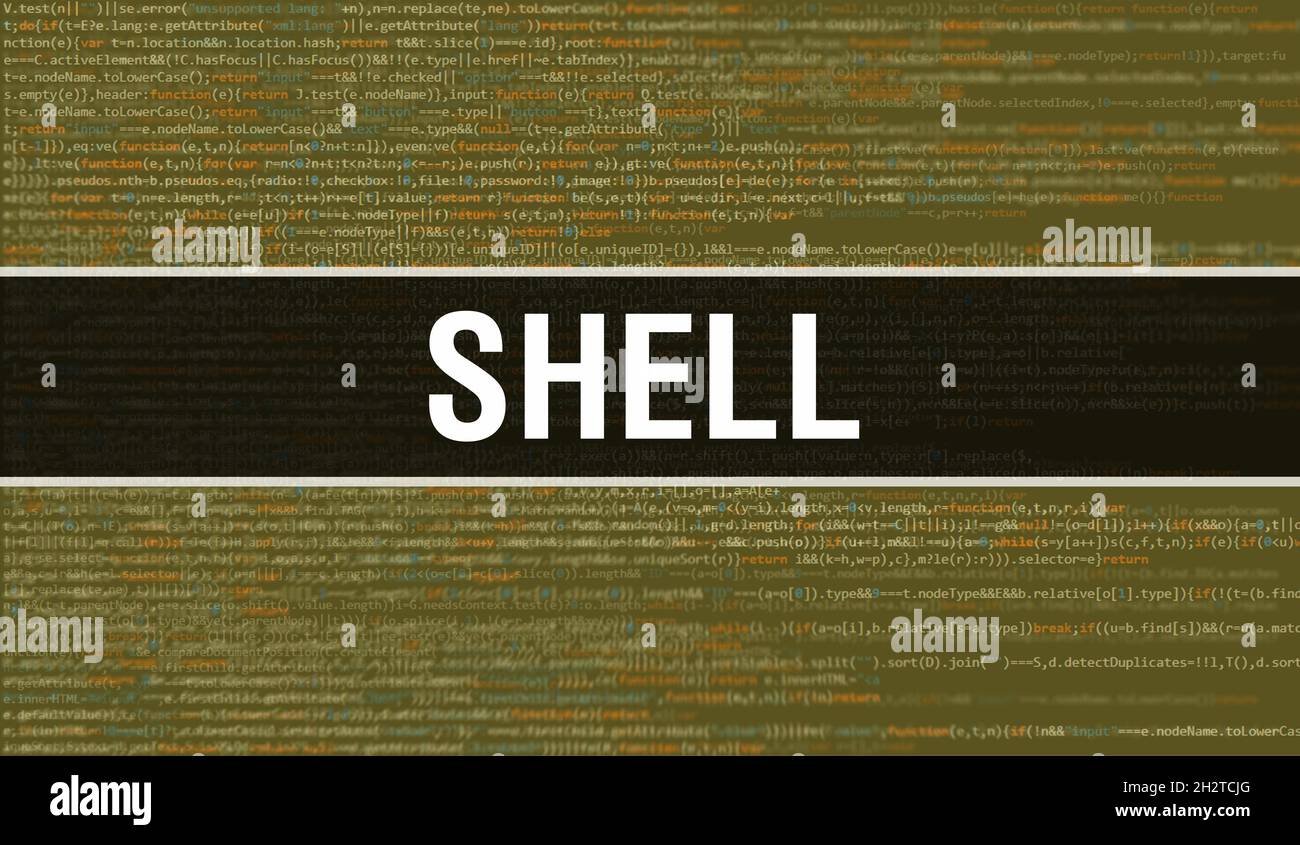 Shell Concept With Random Parts Of Program Code Shell With Programming Code Abstract Technology