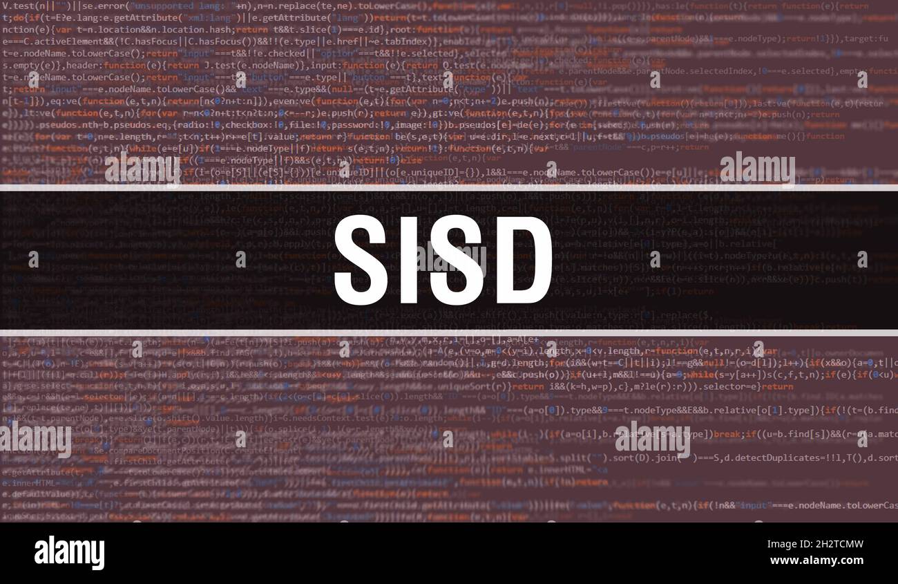 SISD concept with Random Parts of Program Code. SISD with Programming ...