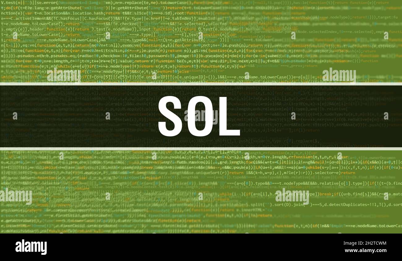SOL concept with Random Parts of Program Code. SOL with Programming ...