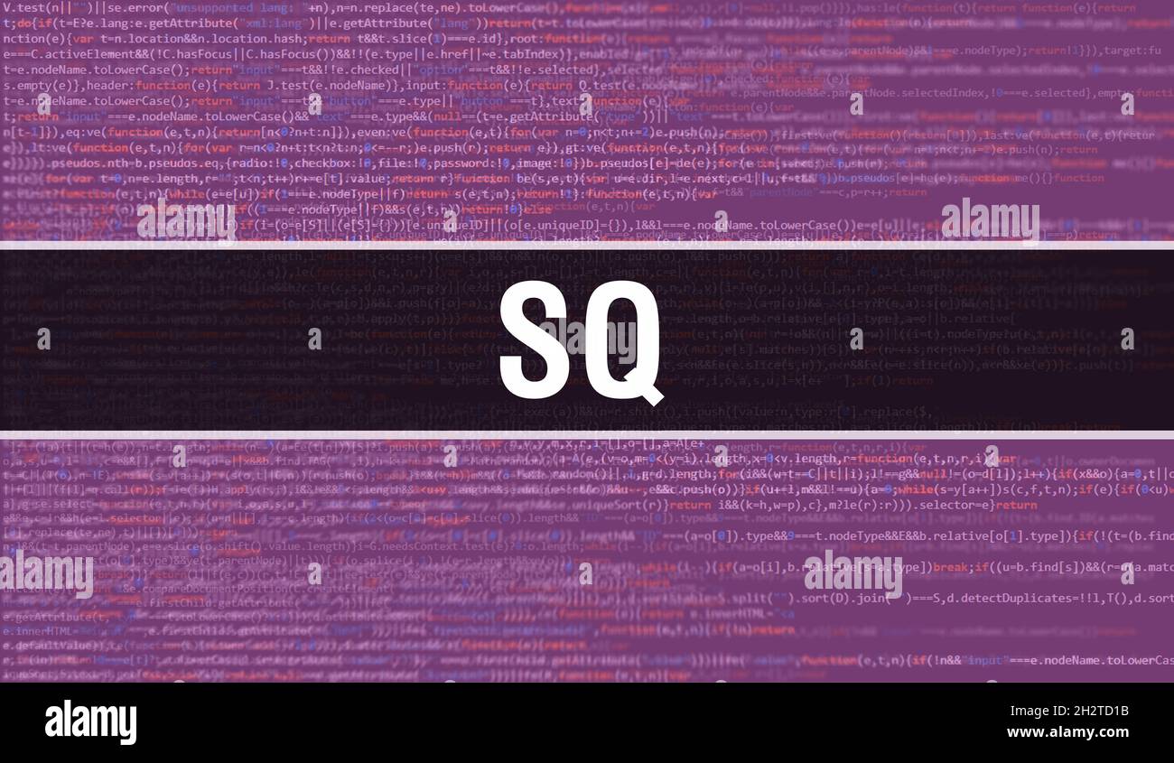 SQ concept with Random Parts of Program Code. SQ with Programming code ...