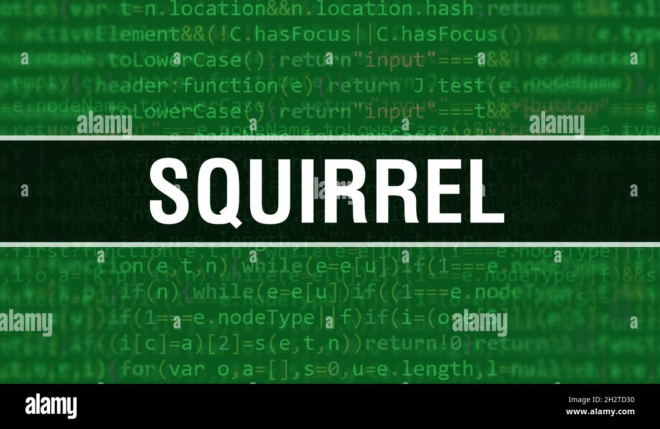 Squirrel Concept With Random Parts Of Program Code Squirrel Text Written On Programming Code