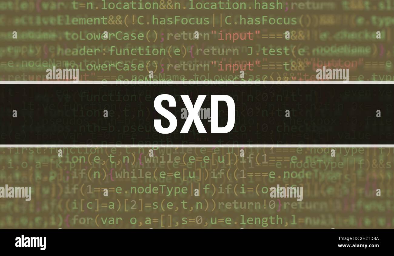 SXD concept with Random Parts of Program Code.SXD text written on ...