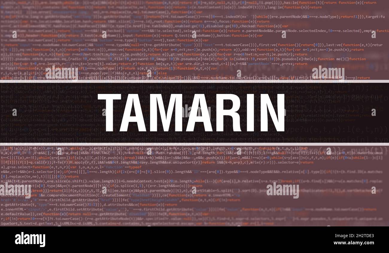 Tamarin text written on Programming code abstract technology background ...