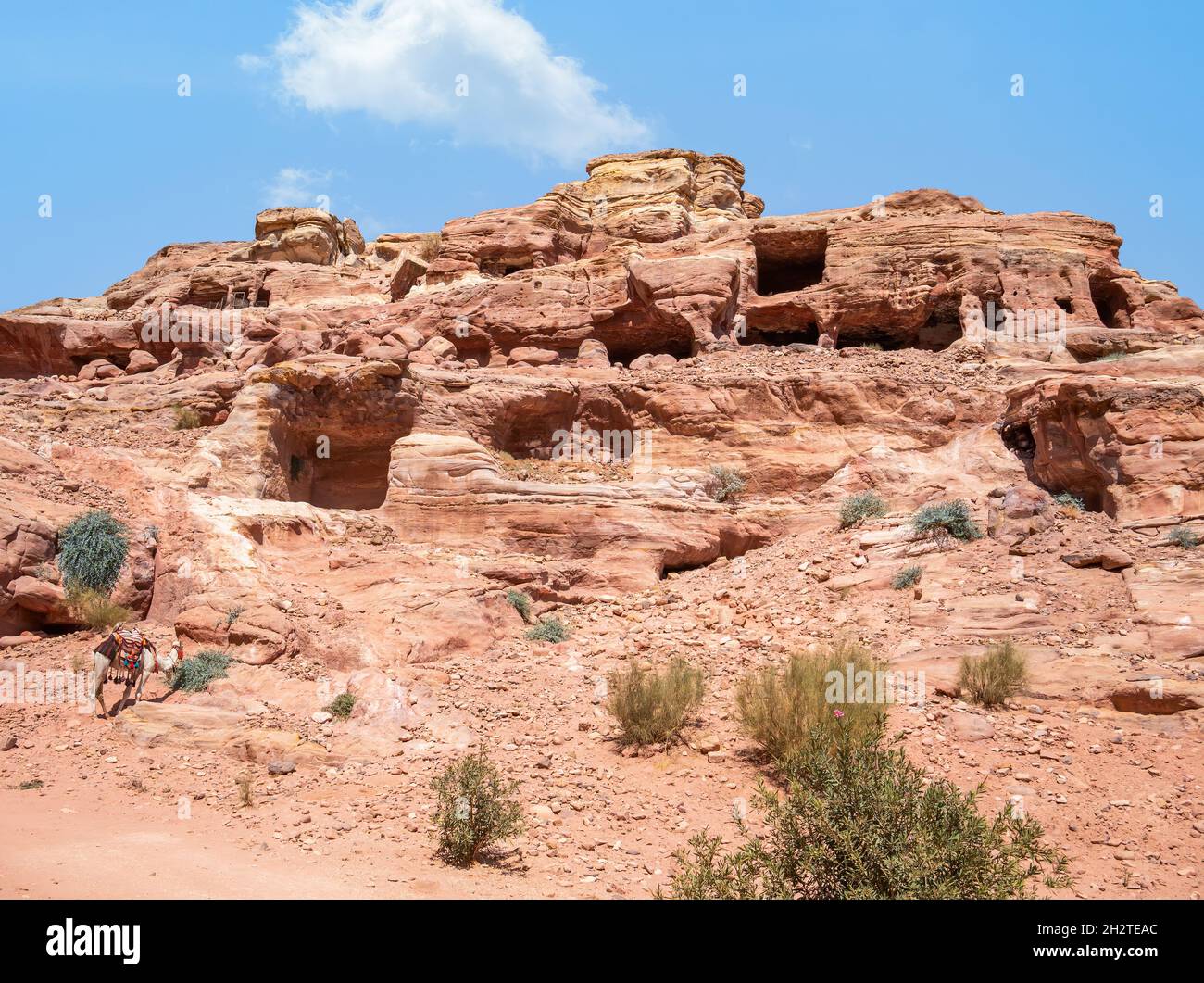 Ancient housing carved in red sand rock in the city of Petra, Jordan ...