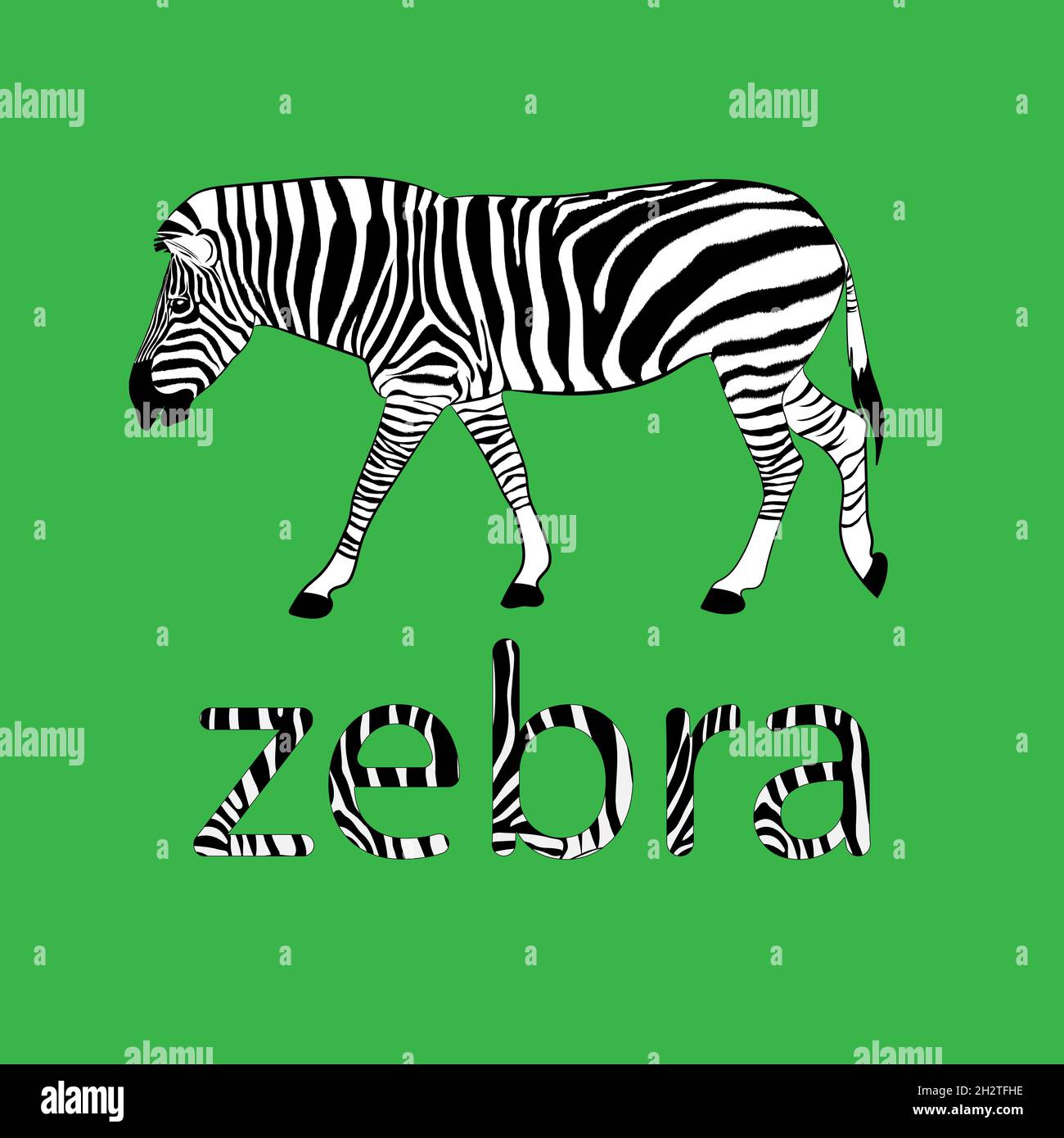 Zebra graphics hi-res stock photography and images - Alamy