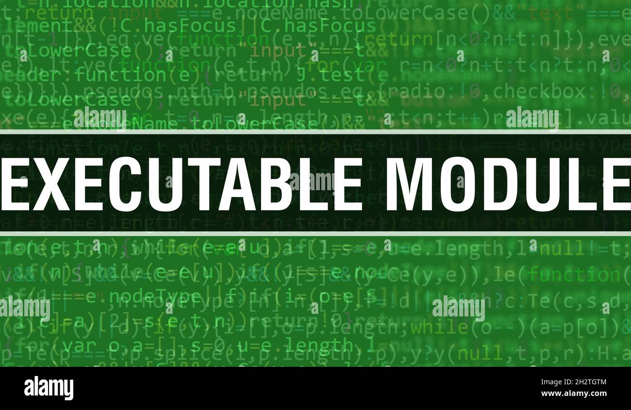 Executable Module Text Written On Programming Code Abstract Technology Background Of Software
