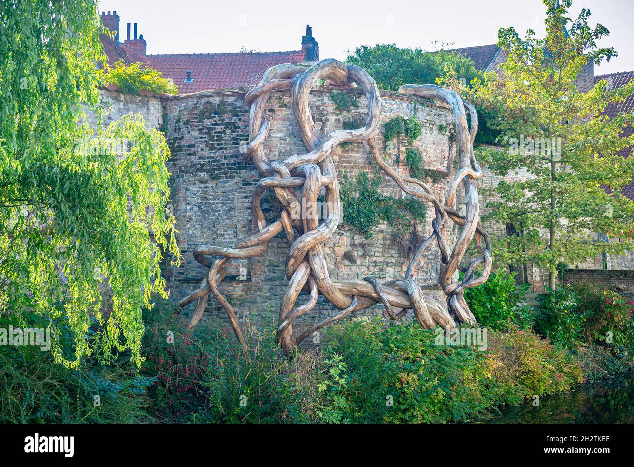 Debarked tree hi-res stock photography and images - Alamy
