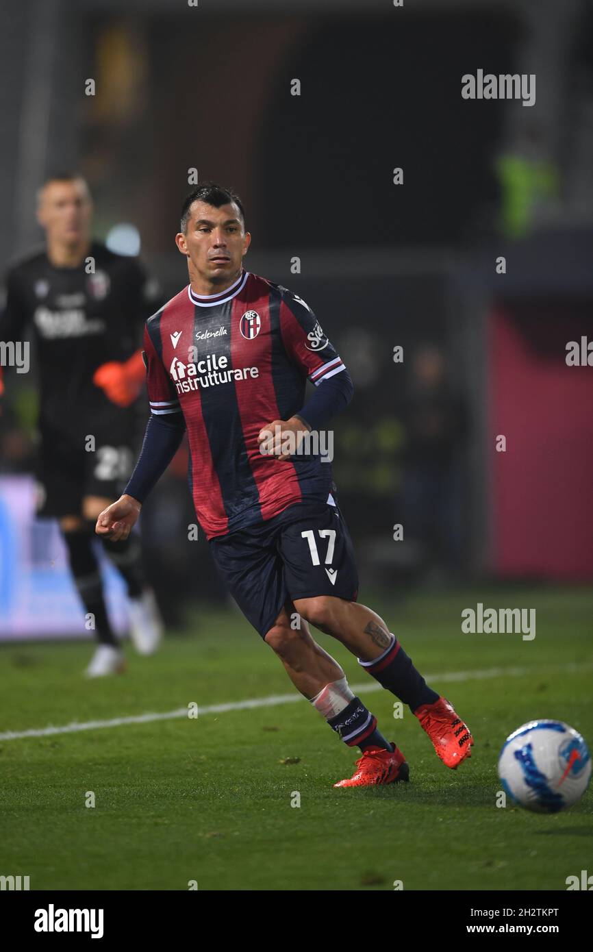 Gary Medel (Bologna) during the Italian "Serie A" match between Bologna ...