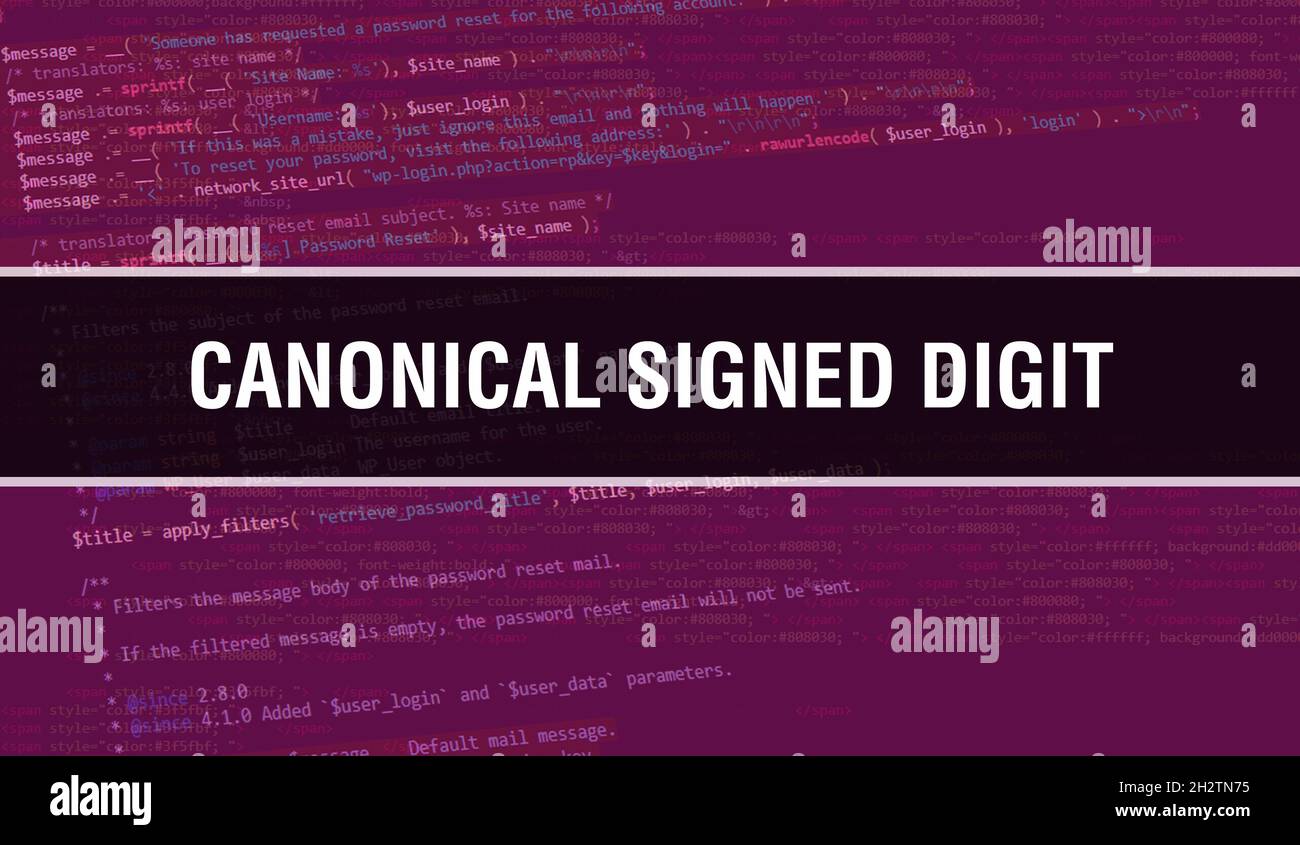 Canonical signed digit concept with Random Parts of Program Code ...