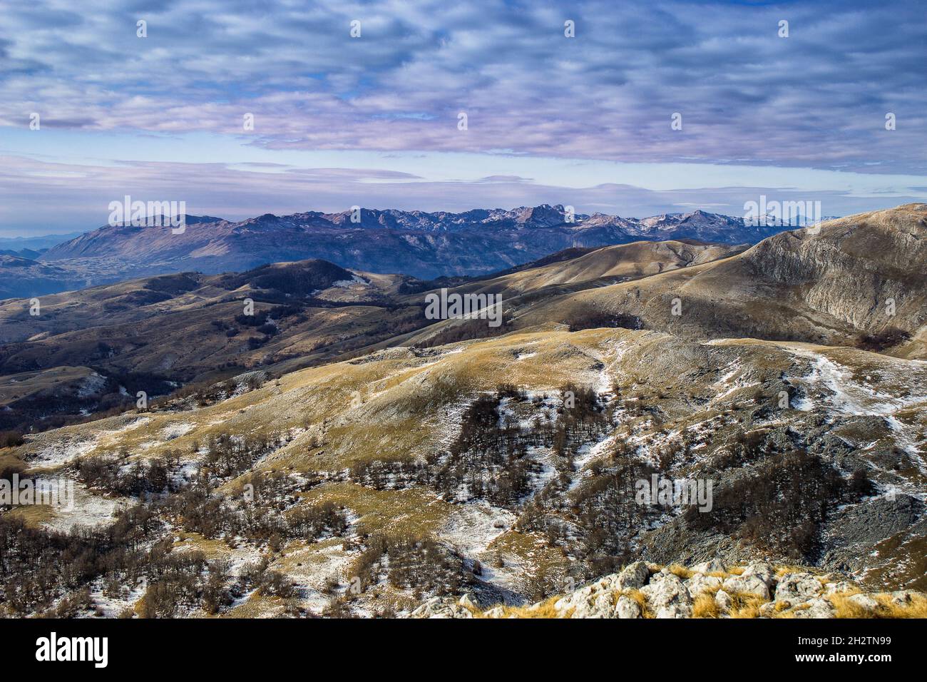 An aerial view of dry trees in mountain Stock Photo - Alamy