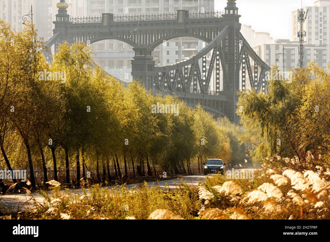 Yangmingtan hi-res stock photography and images - Alamy