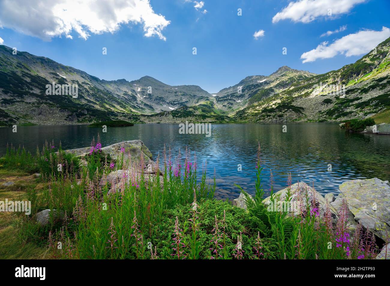 Pirin National Park,Blgaria Stock Photo - Alamy