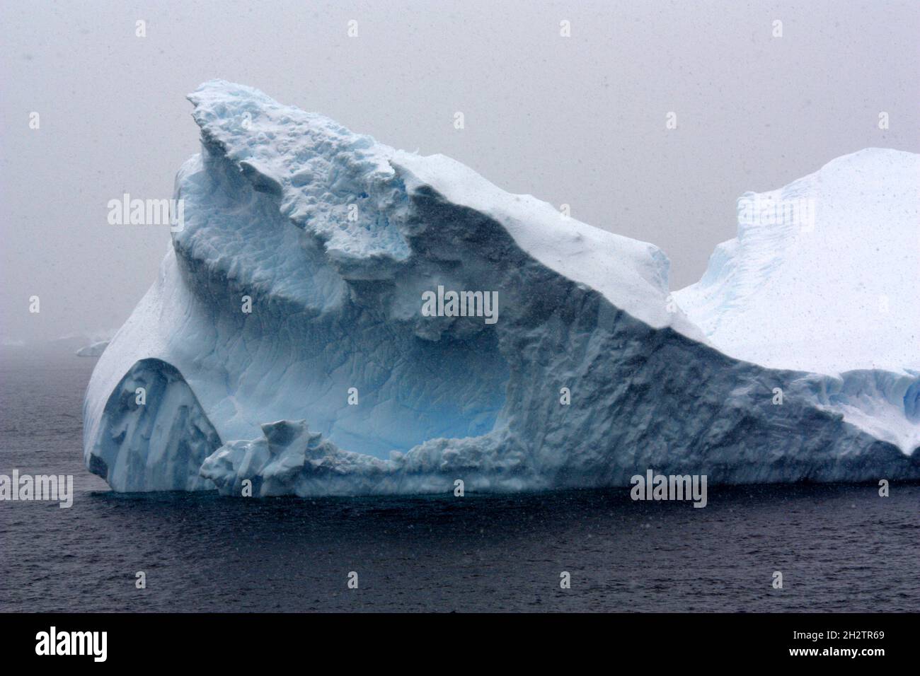 Iceberg during snowfall in the bay on the Danco Coast in Antarctica ...