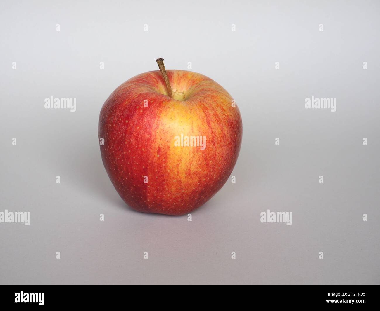 red apple (scientific name Malus domestica) vegetarian fruit food Stock ...