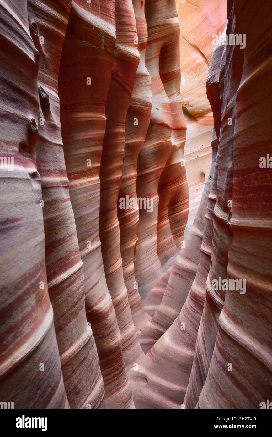 The Narrow Sandstone Walls in Zebra Slot Canyon, Grand Staircase ...