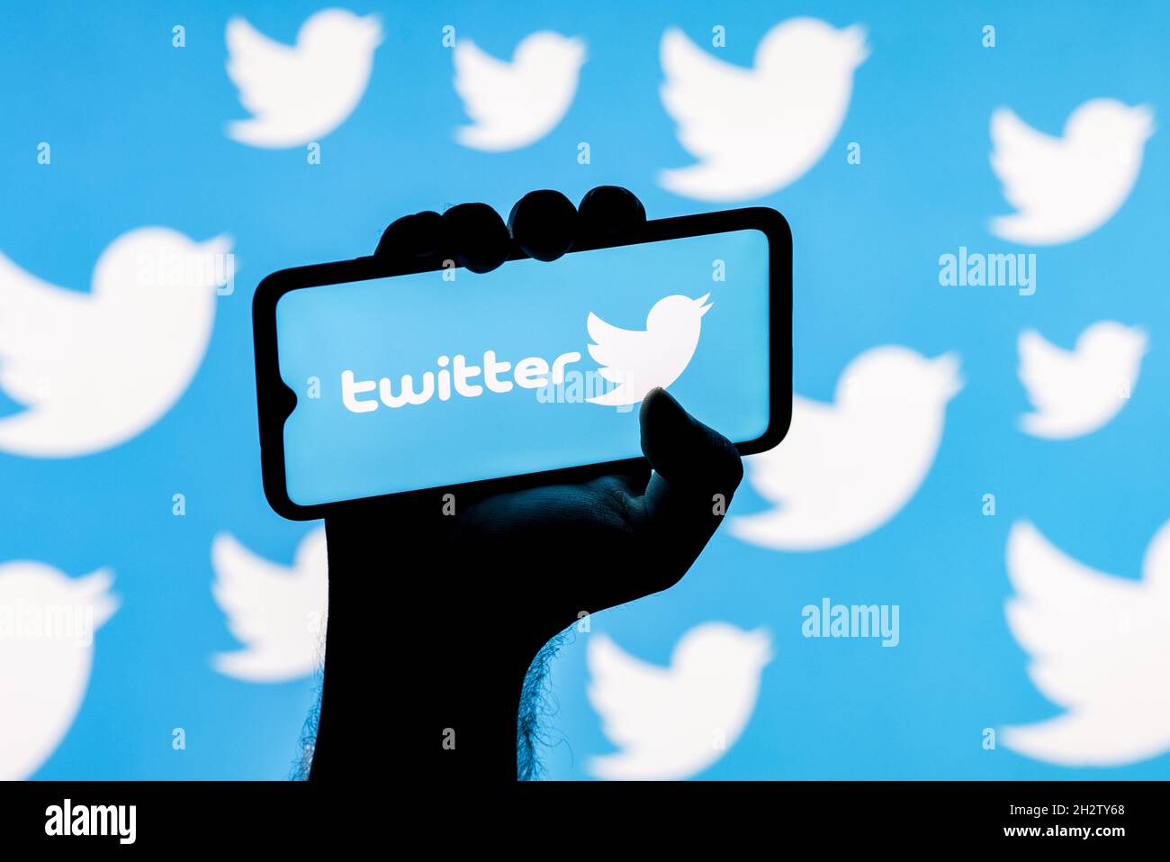 Smartphone with the Twitter social network logo on the screen in a ...