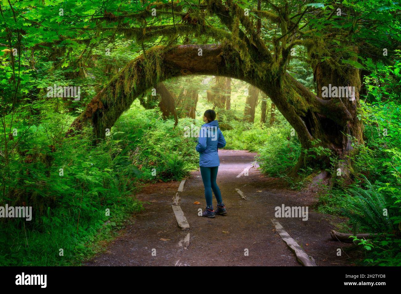 Moss lady hi-res stock photography and images - Alamy