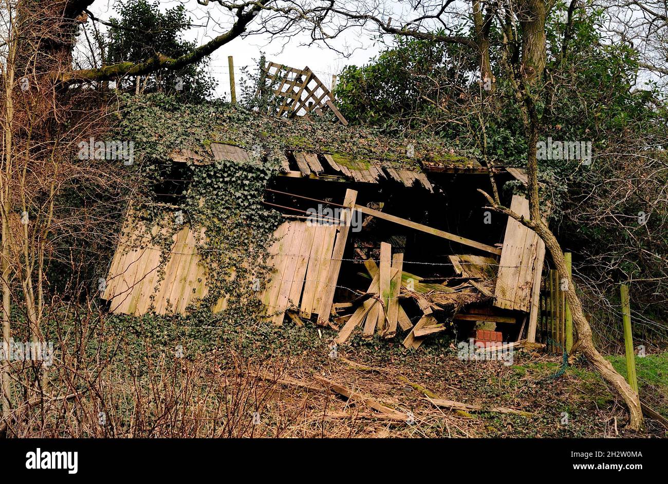 Timber shed felt roof hi-res stock photography and images - Alamy