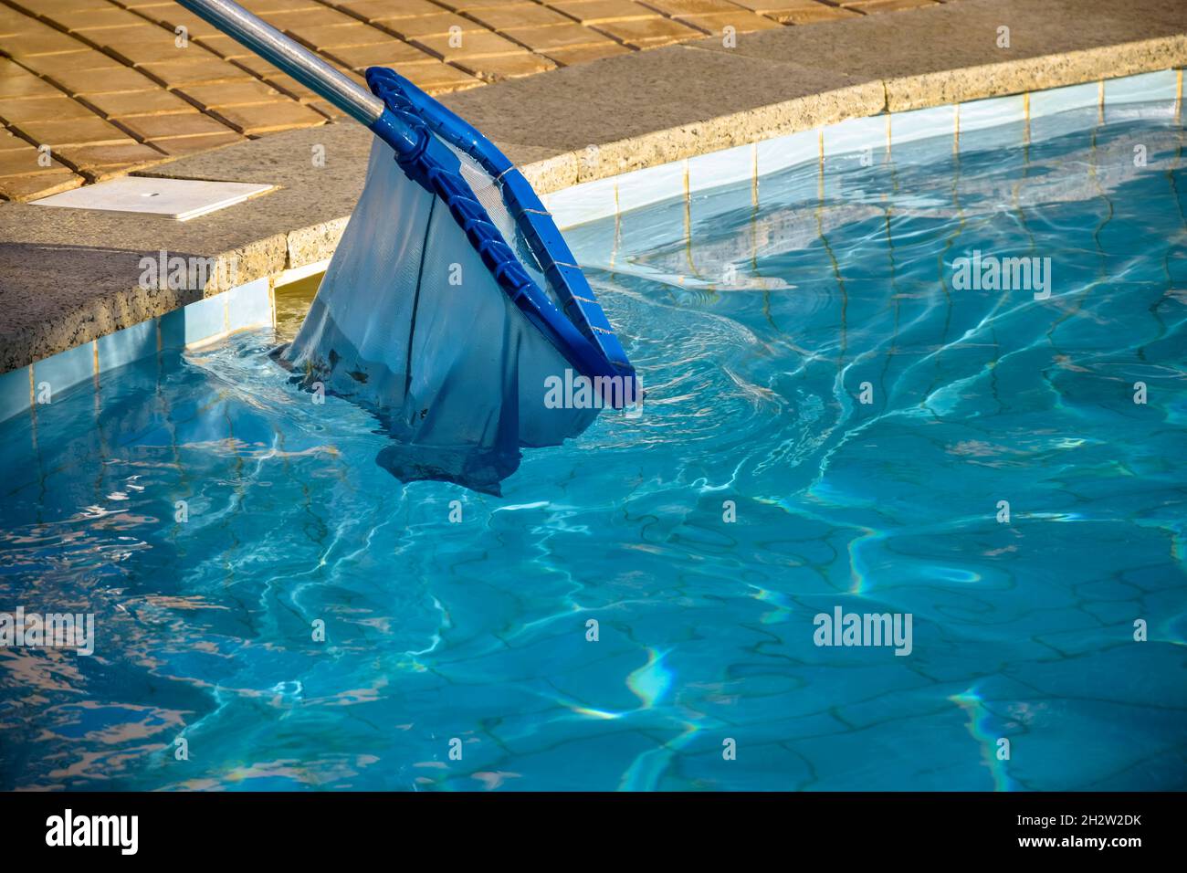 Cleaning pool from garbage with special net. Clear water with blue tint ...