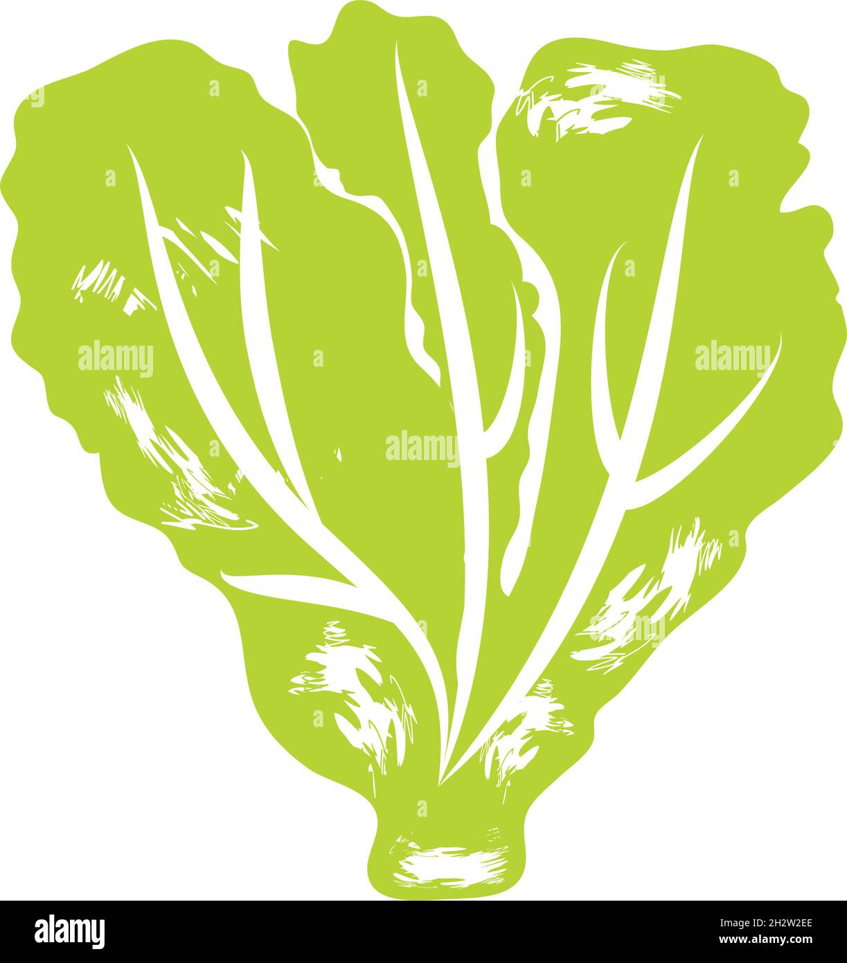 fresh lettuce icon Stock Vector Image & Art - Alamy