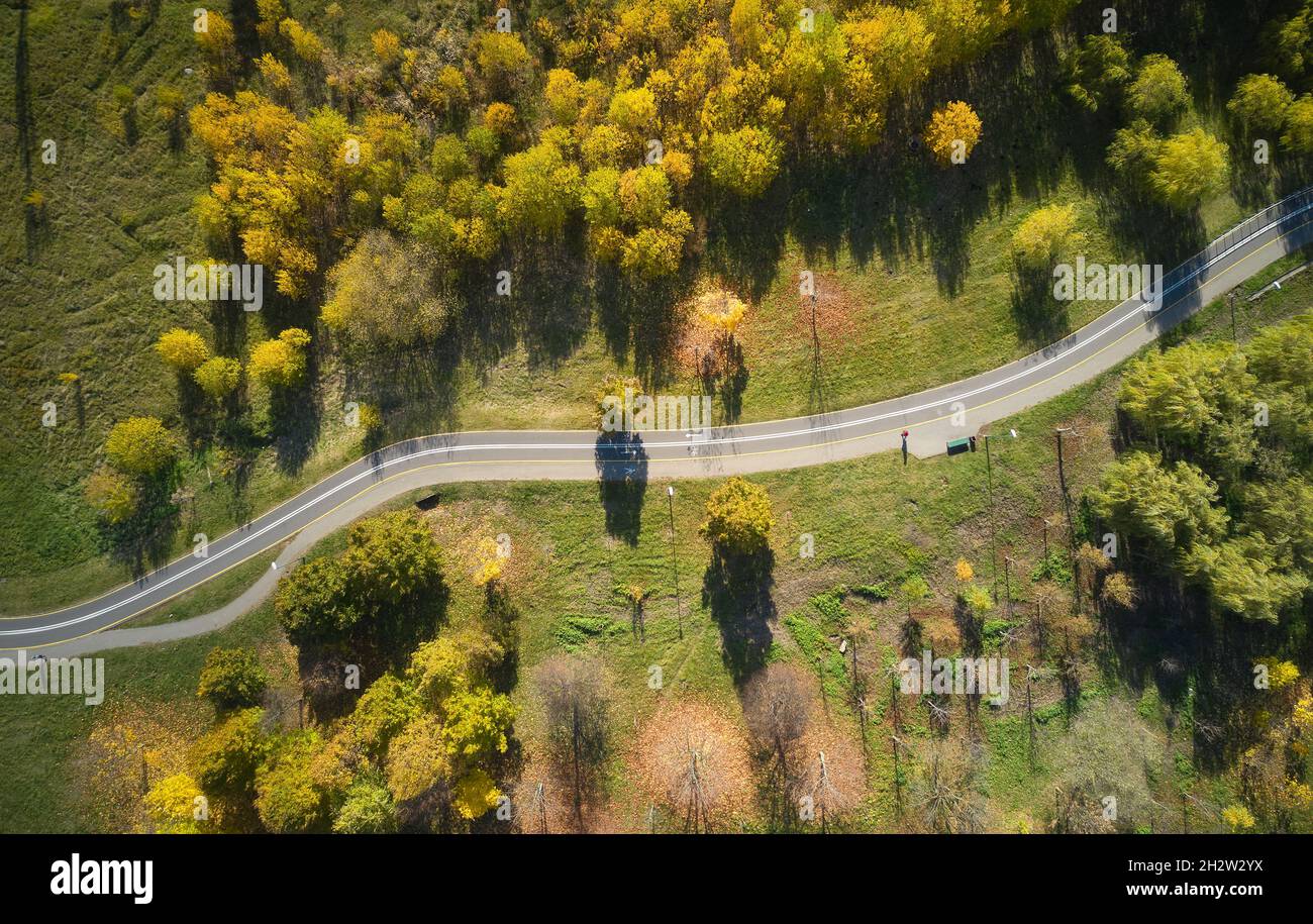 Aerial view of road in forest. Bicycle path in the park Stock Photo - Alamy