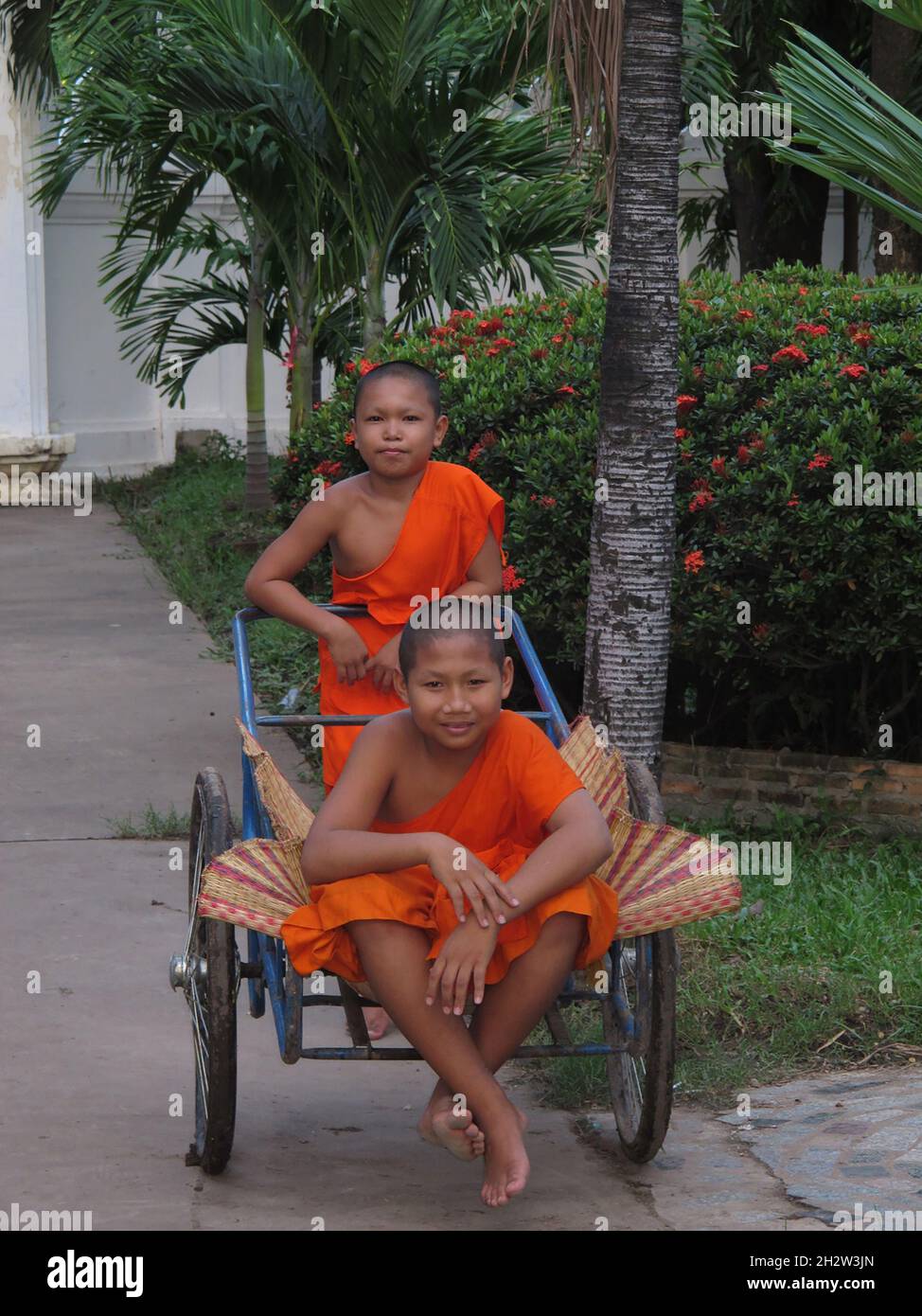 Buddhist monk boys hi-res stock photography and images - Alamy