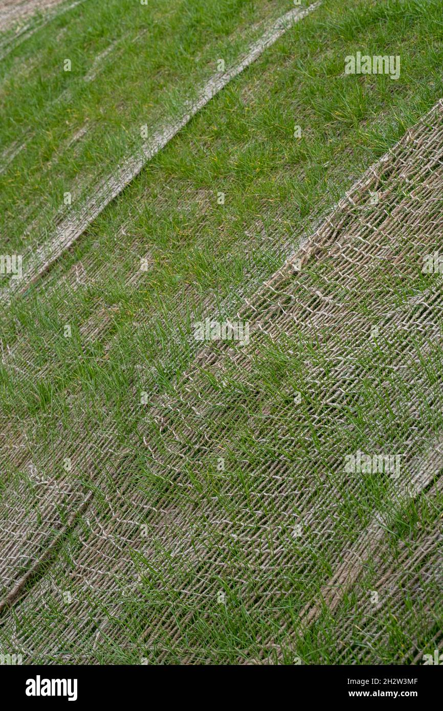 Jute membrane hi-res stock photography and images - Alamy