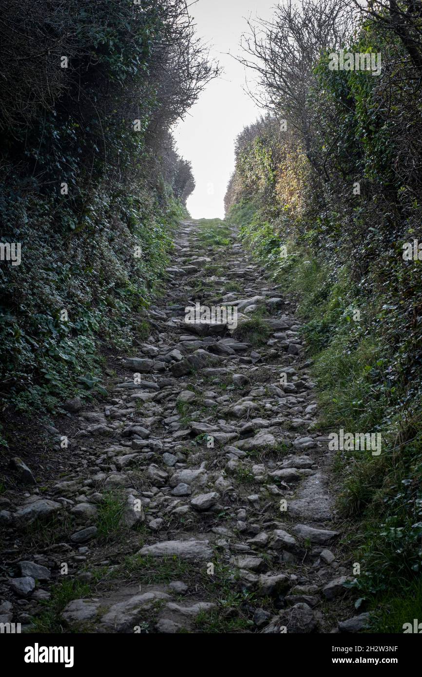 Green lane in East Prawle Devon, rocky track for accessing fields ...