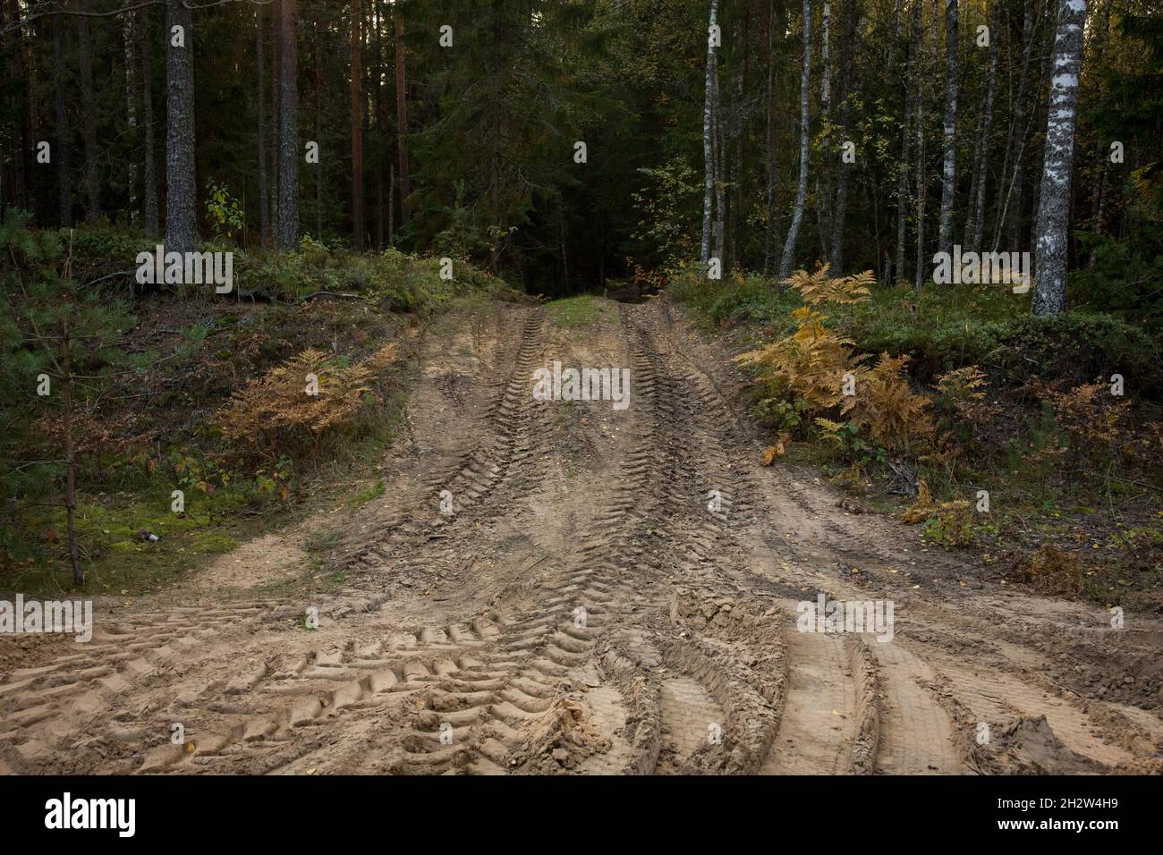 Wheel trail on sandy ground from large transport, tractor, sandy road ...