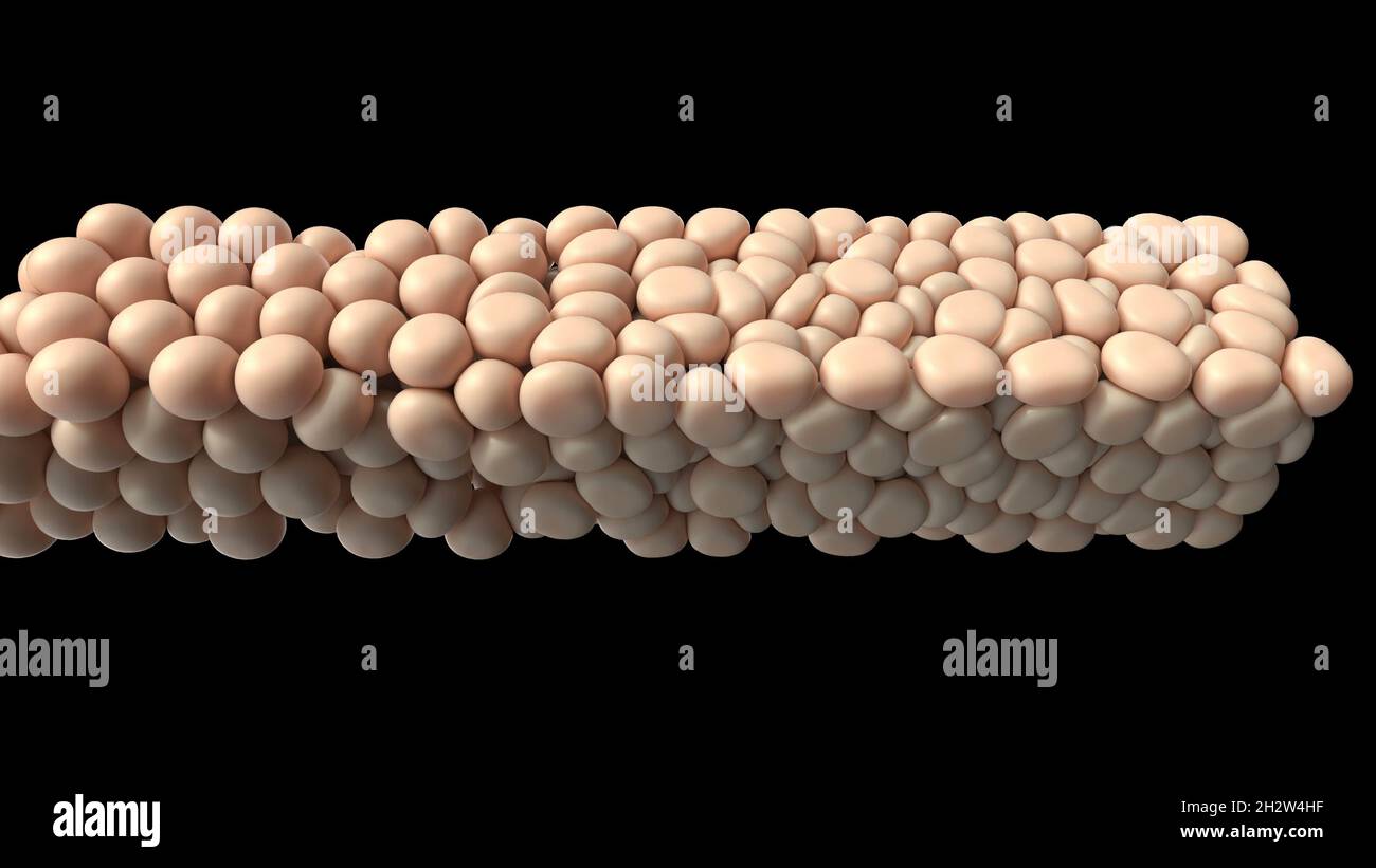 Sphere fat cell cholesterol hi-res stock photography and images - Alamy