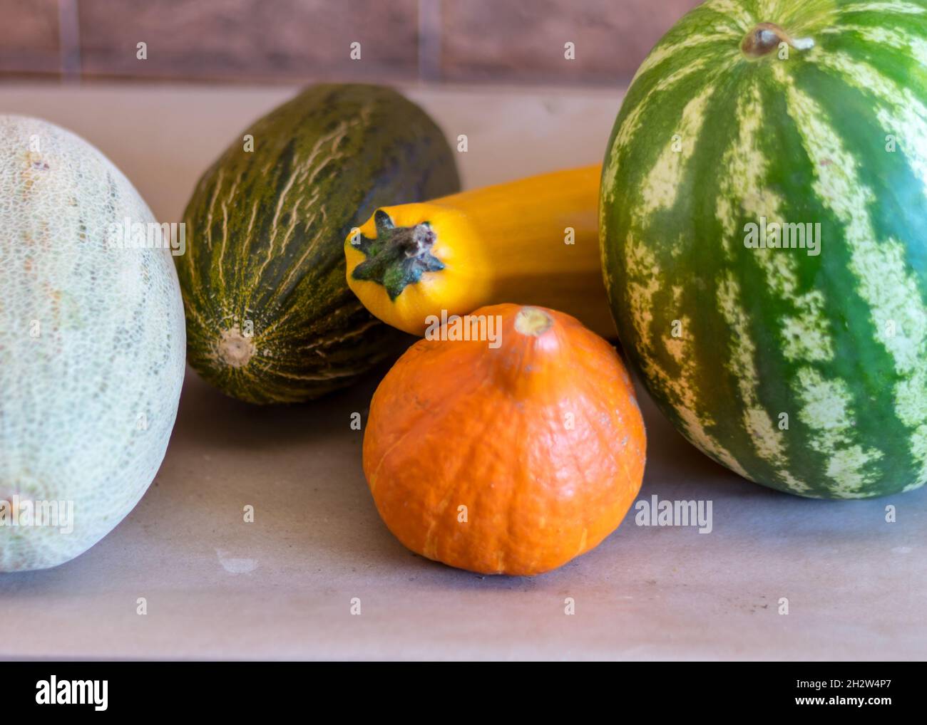 picture with pumpkin, zucchini, watermelon and melon, autumn harvest ...