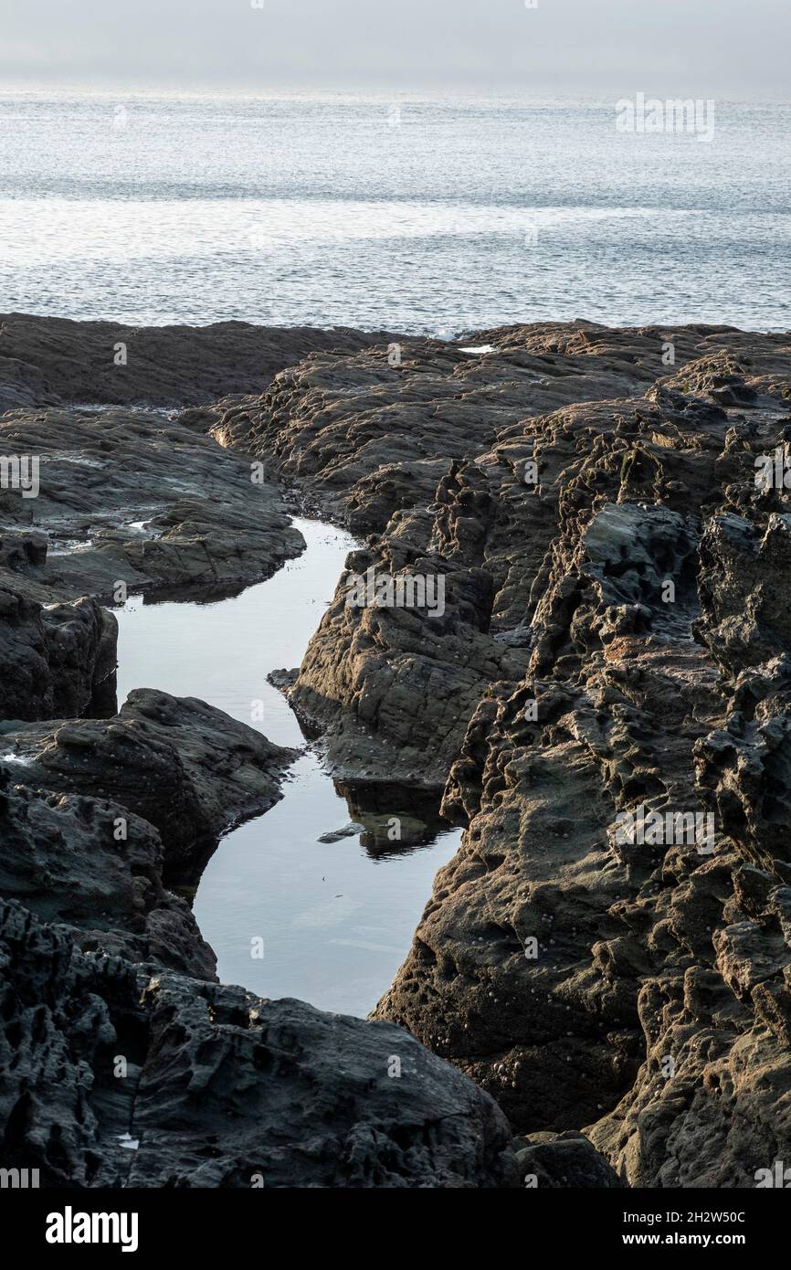Rock pool exploring hi-res stock photography and images - Alamy
