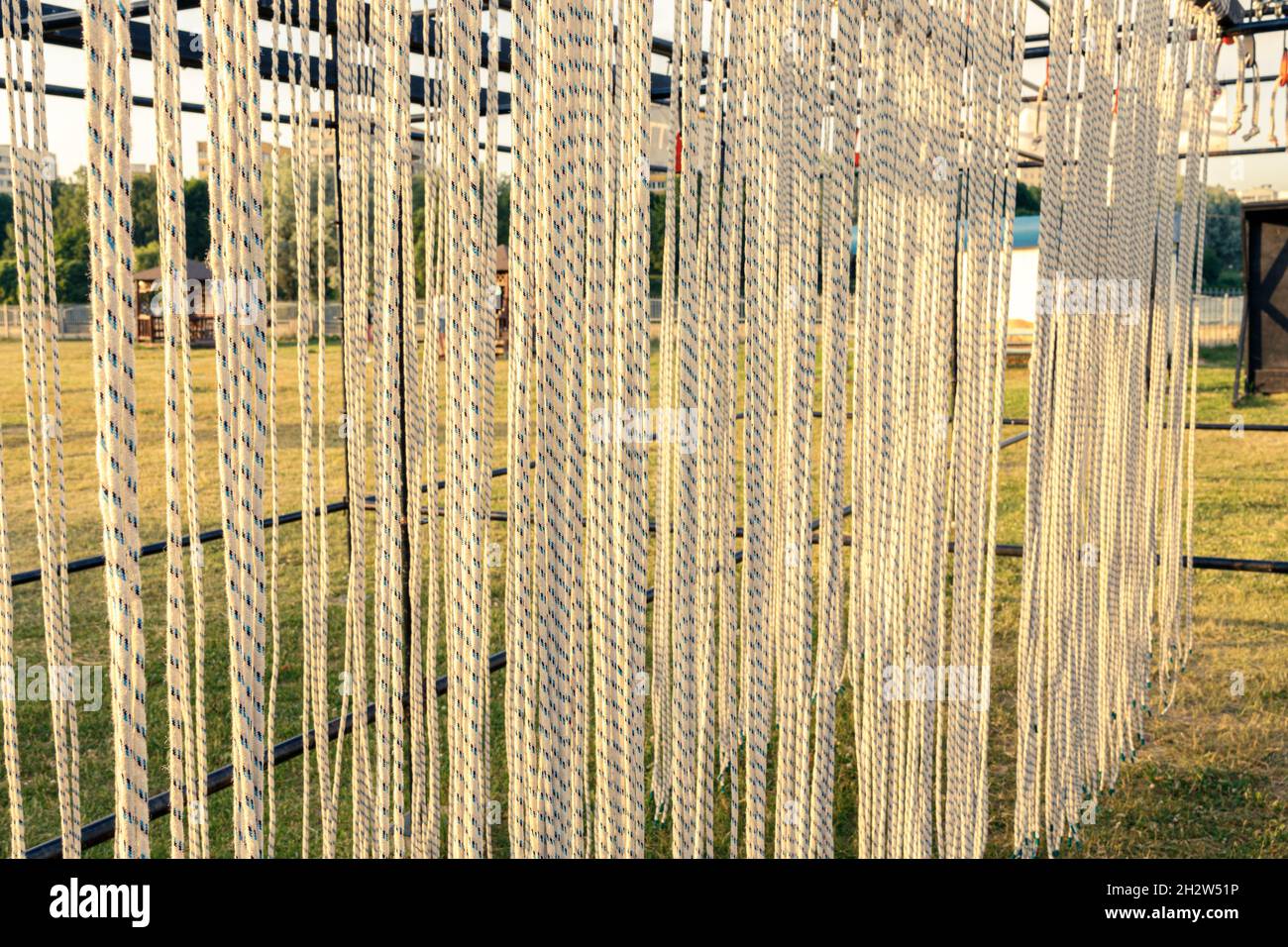Obstacle course race ocr, hanging ropes in a row, sunset Stock Photo ...