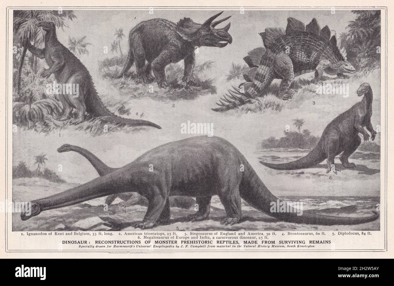 Dinosaur: Reconstructions of monster prehistoric reptiles, made from ...