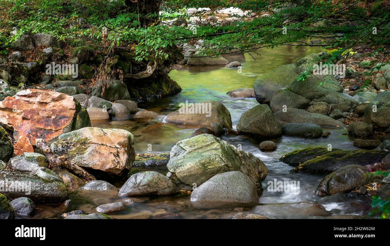 Beautiful mountain river with rocks, flowing water in the forest Stock ...