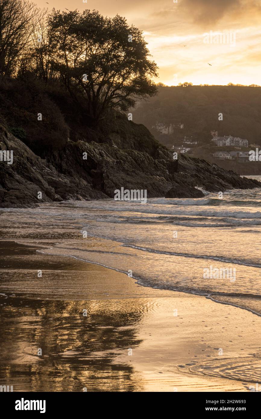 Mill Bay beach near Salcombe, South Devon Stock Photo - Alamy