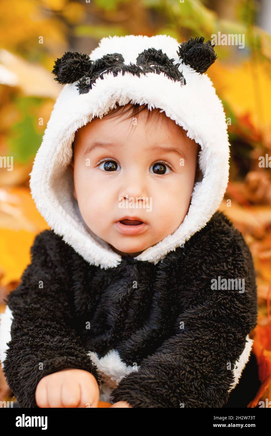 Happy little child in panda costume holding pumpkin. trick or treat ...