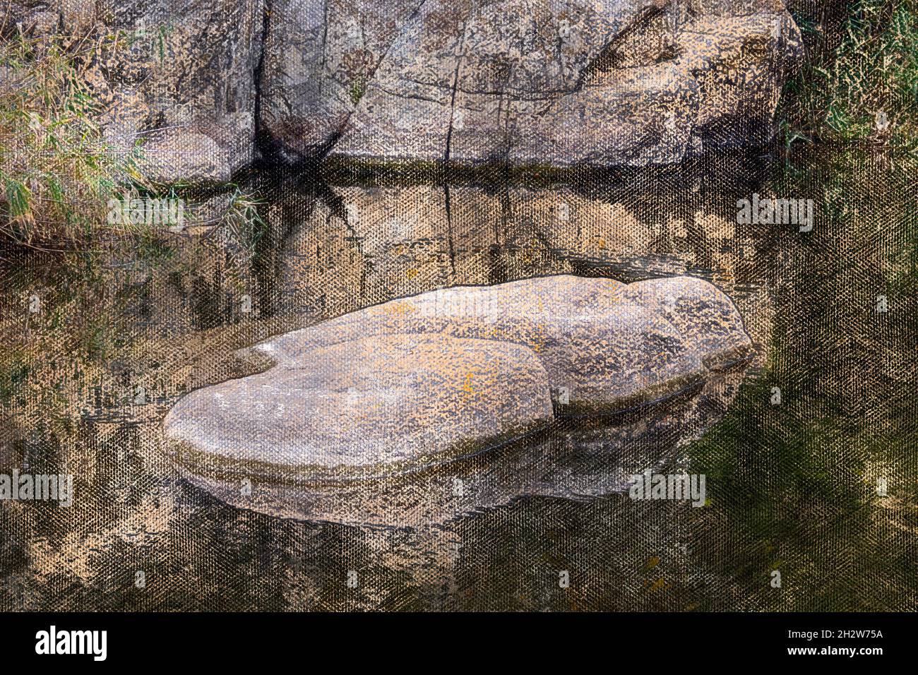 Smooth boulder in the middle of a mountain river. A large flat rock in ...