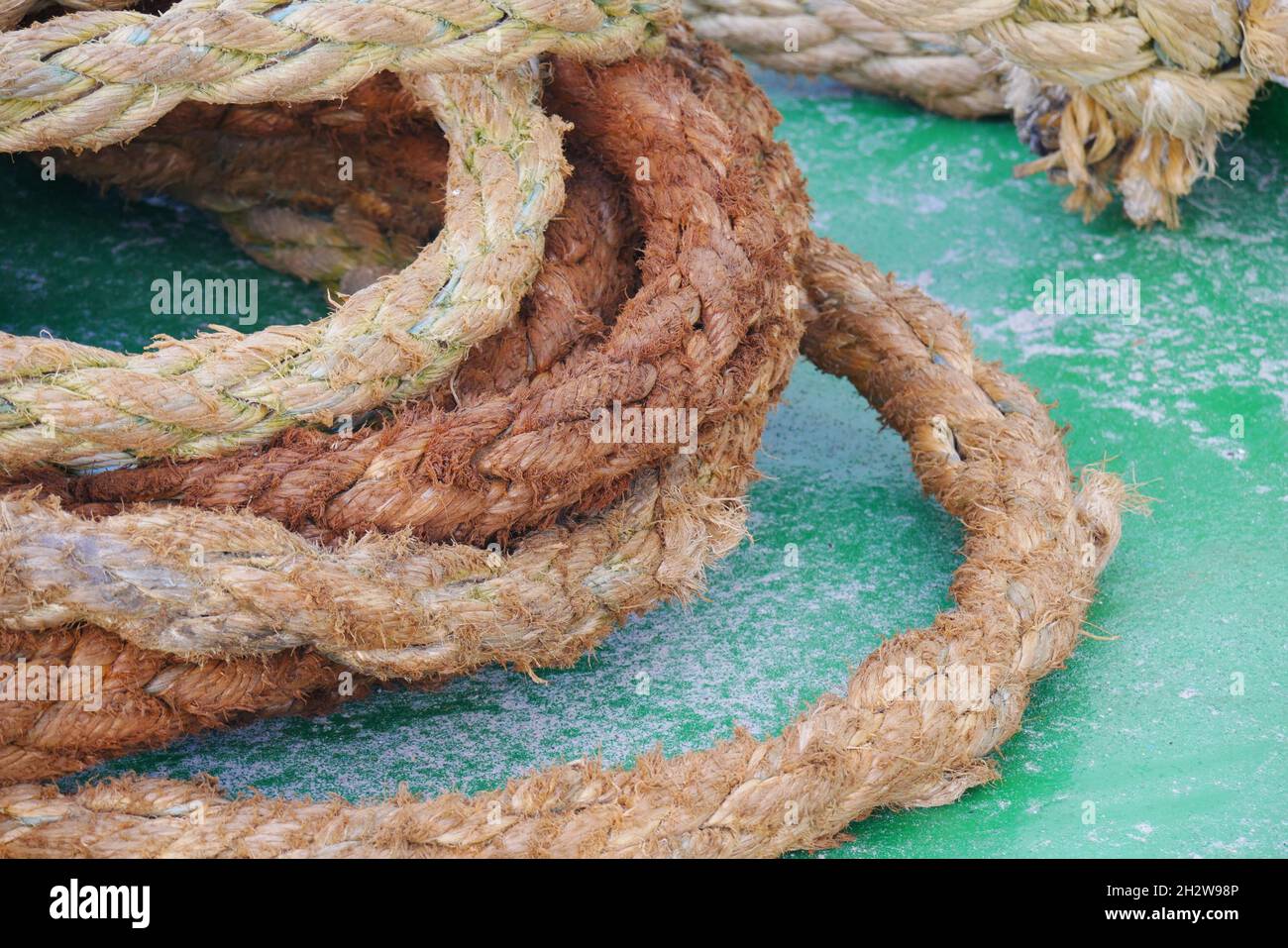close-up of an old brown ragged ship's rope which lies curled up next ...