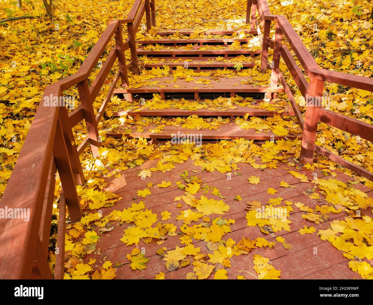 Fall on stairs hi-res stock photography and images - Alamy