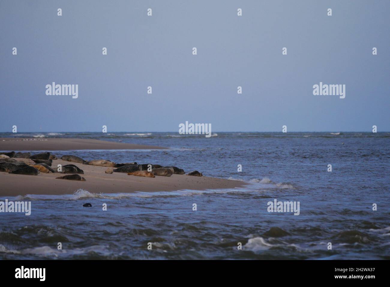 troubled north sea in the atlantic ocean where the waves meet sandbanks ...